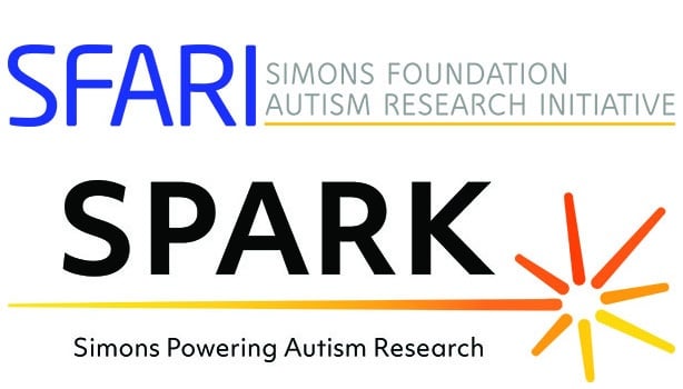 2019 Highlights - December 1, 2019