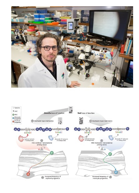 NYGC News – Spring 2020 - April 1, 2020